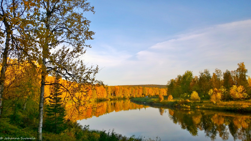 Lapin ruska on resepti mielenrauhaan – MAISEMAONNELLINEN